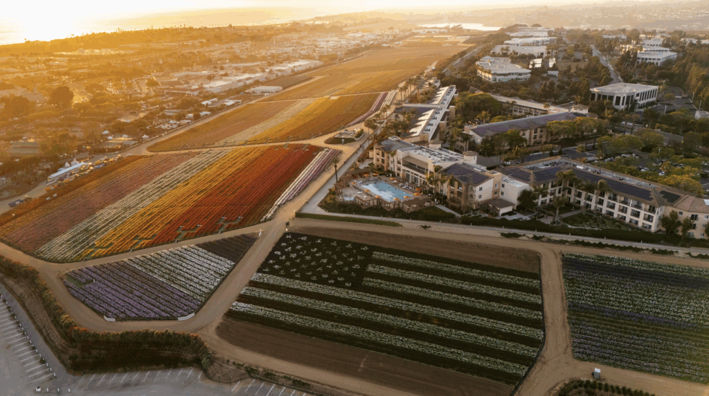 What Are the Best Hotels in Carlsbad? Discover Why The Cassara Carlsbad ...